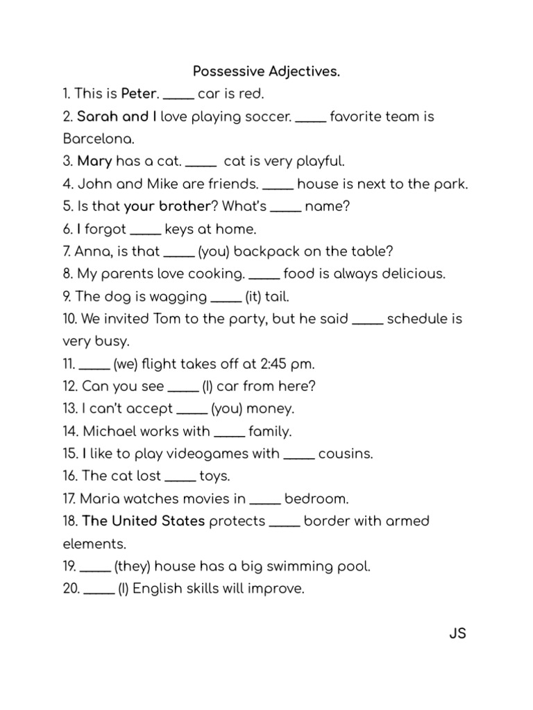 Understanding Possessive Adjectives | PDF