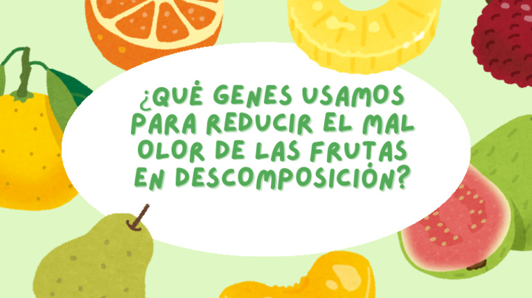 Green and Yellow Cute Illustrative Guess The Fruit Game Presentation | PDF