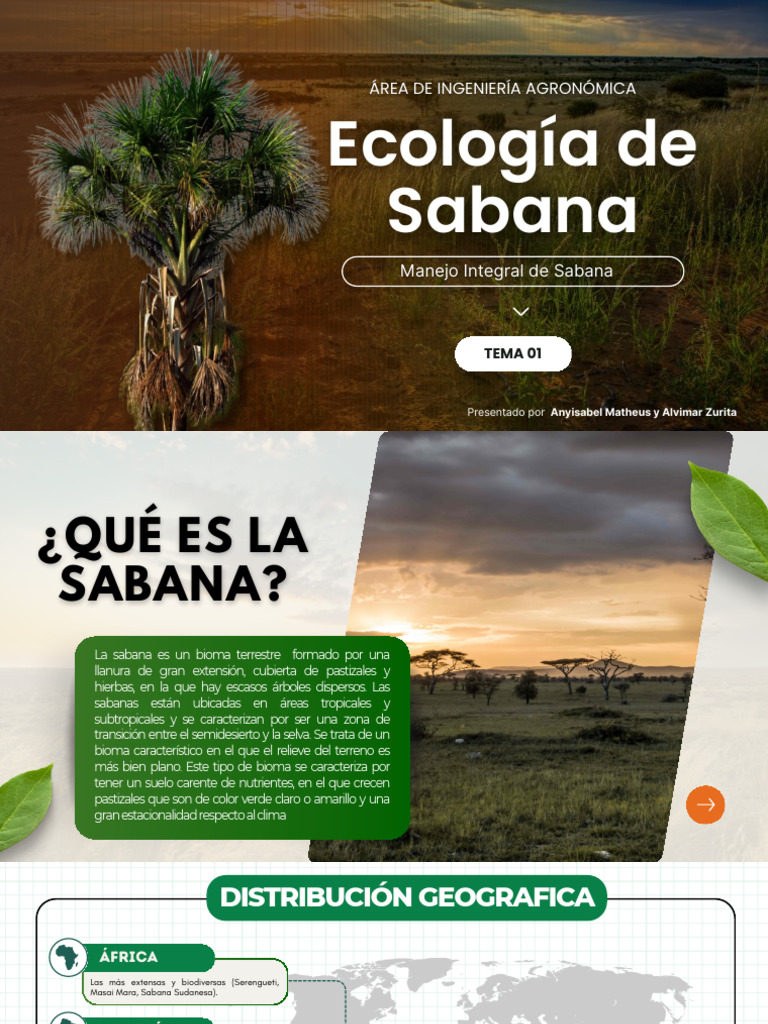 Ecología de la Sabana Sudanesa | PDF | Sabana | Clima