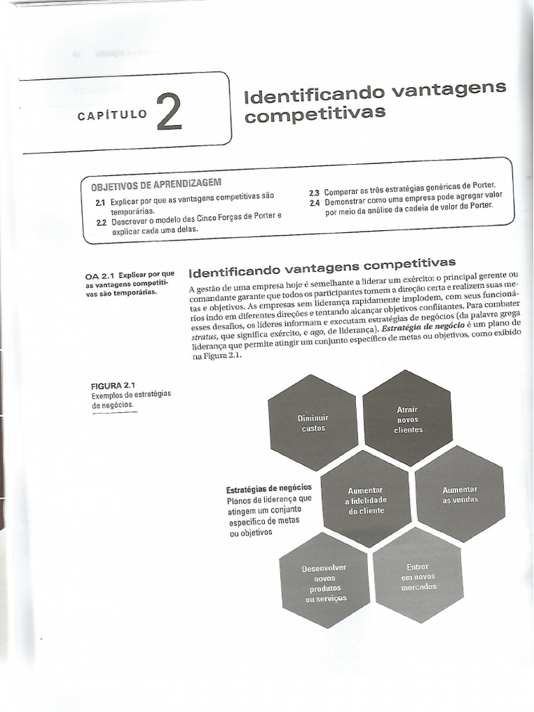 Extrato Do Cap 2 - Baltzan, P (2016) Sobre Vantagem Competitiva | PDF