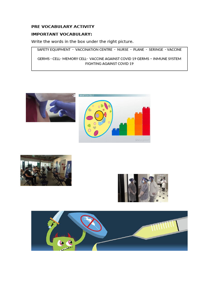 Pre Vocabulary Activity | PDF