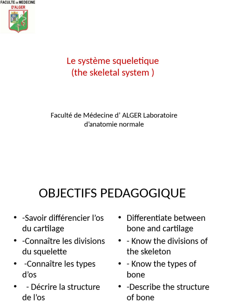 Le Systeme Squeletique Benya 1 | PDF | Os | Système squelettique