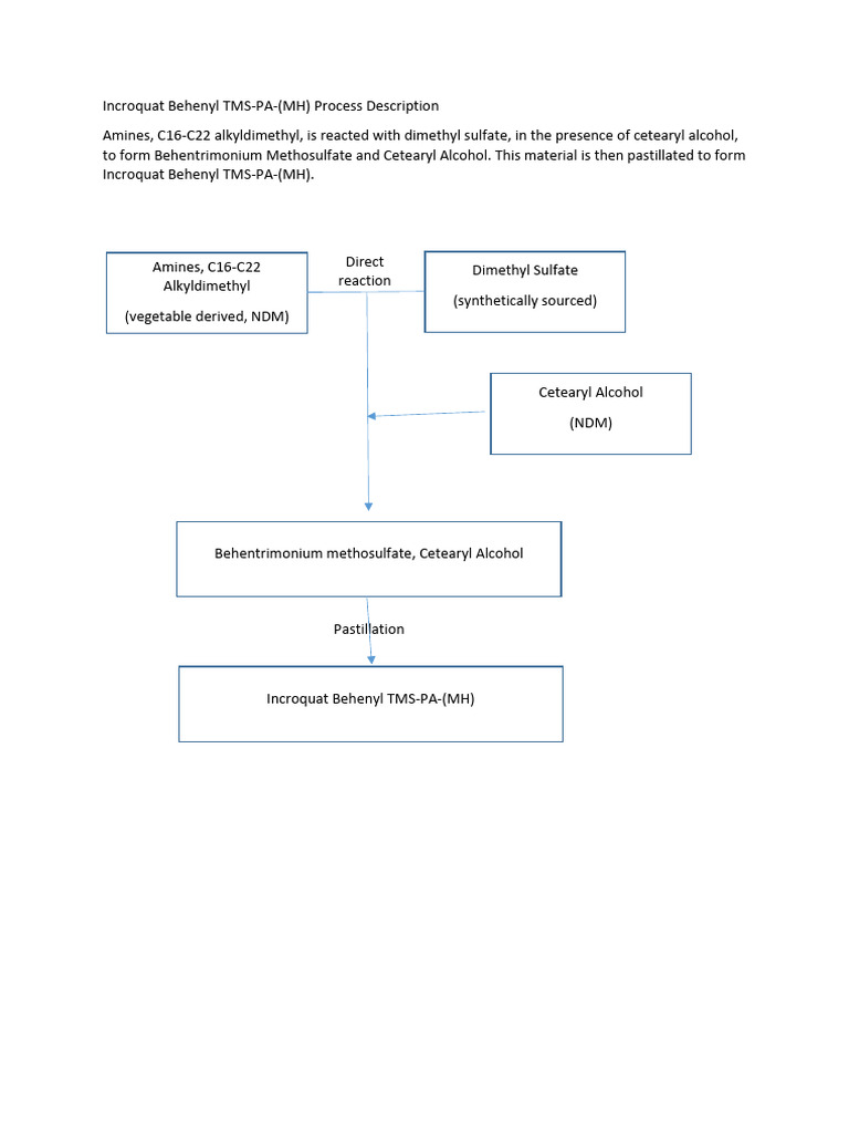 Incroquat Behenyl TMS-PA Process Guide | PDF