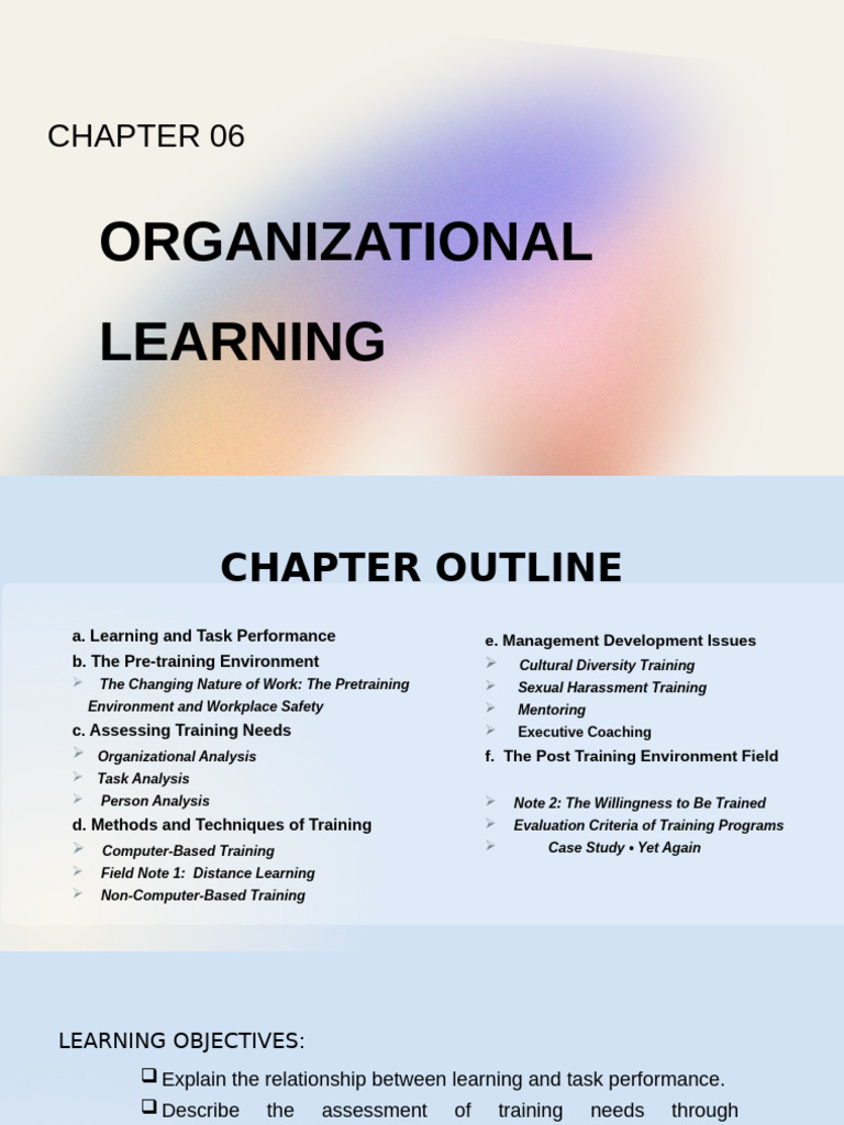 IOP - Chapter 6 Organizational Learning | PDF | Mentorship | Sexual ...