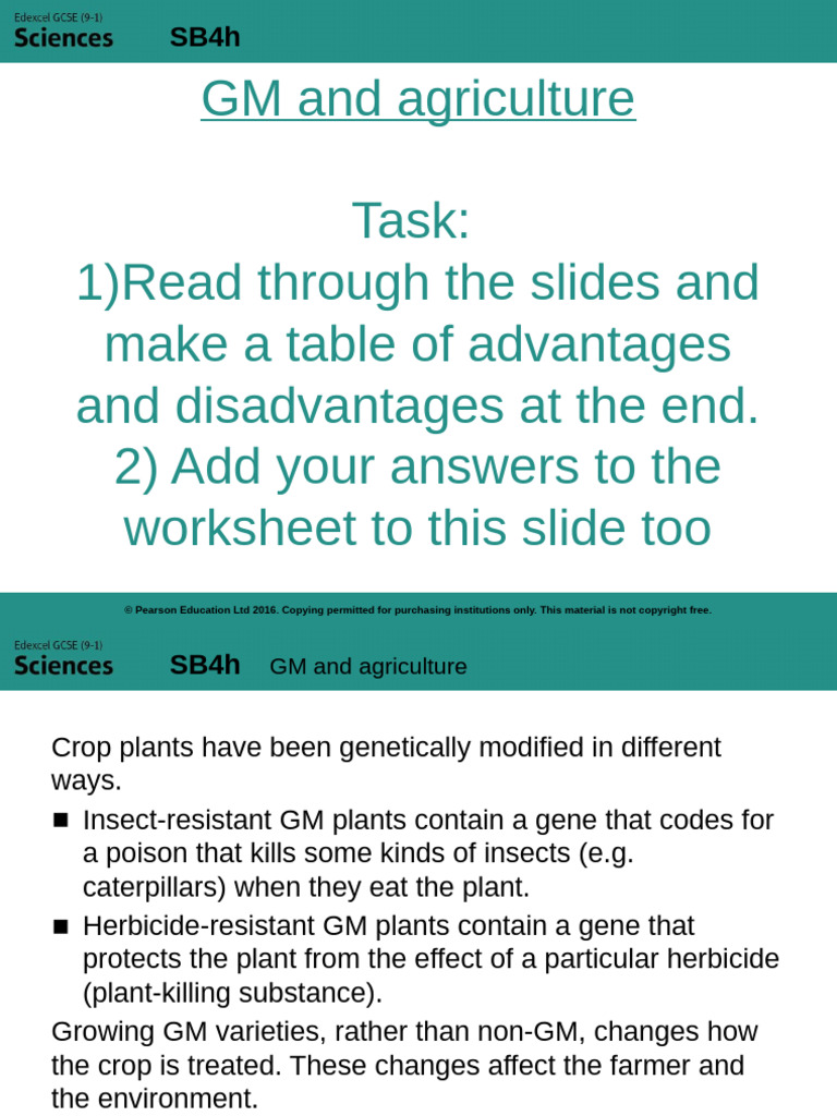 Advantages and Disadvantages of GM Crops | PDF | Herbicide ...