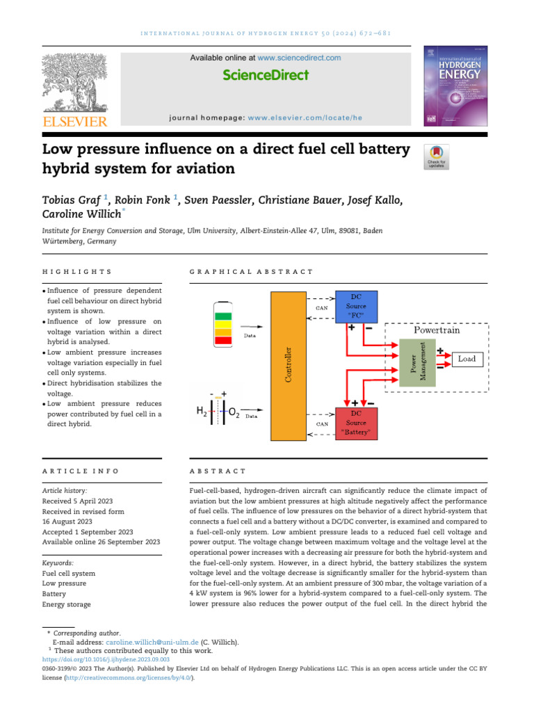 Low Pressure Influence On A Direct Fuel Cell Ba 2024 International ...