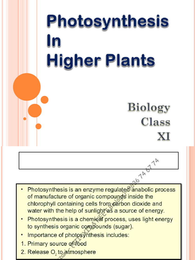Chapter 13 - Photosynthesis - AM - SH-1 | PDF | Photosynthesis ...