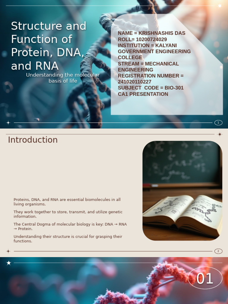 Structure and Function of Protein, DNA, and RNA | PDF | Rna | Dna