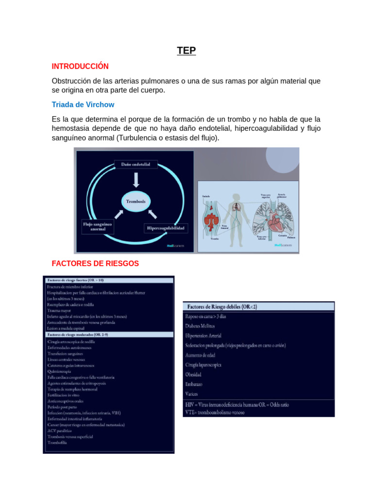 Guía Completa sobre TEP: Diagnóstico y Manejo | PDF | Enfermedades ...