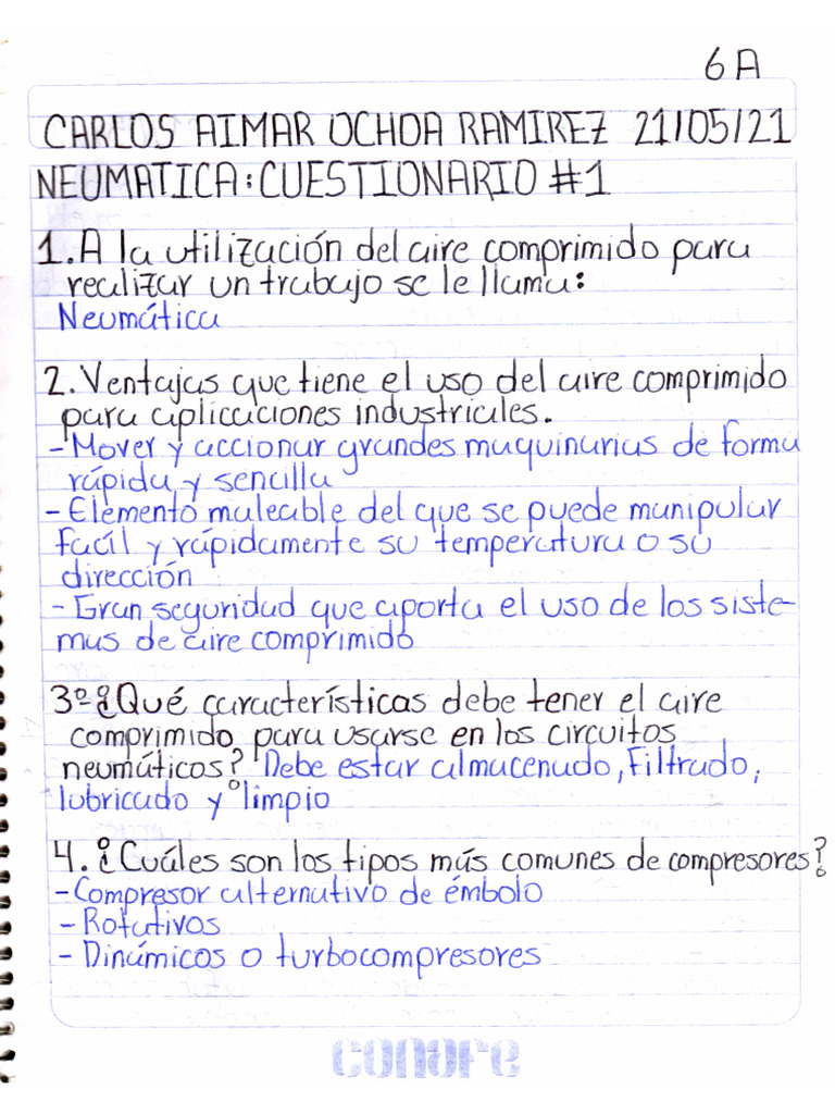 Cuestionario Ochoa Ramírez Carlos Aimar 6a | PDF