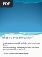 Diffusion Phet Simulation Sheet Pdf Cell Membrane Cell Biology
