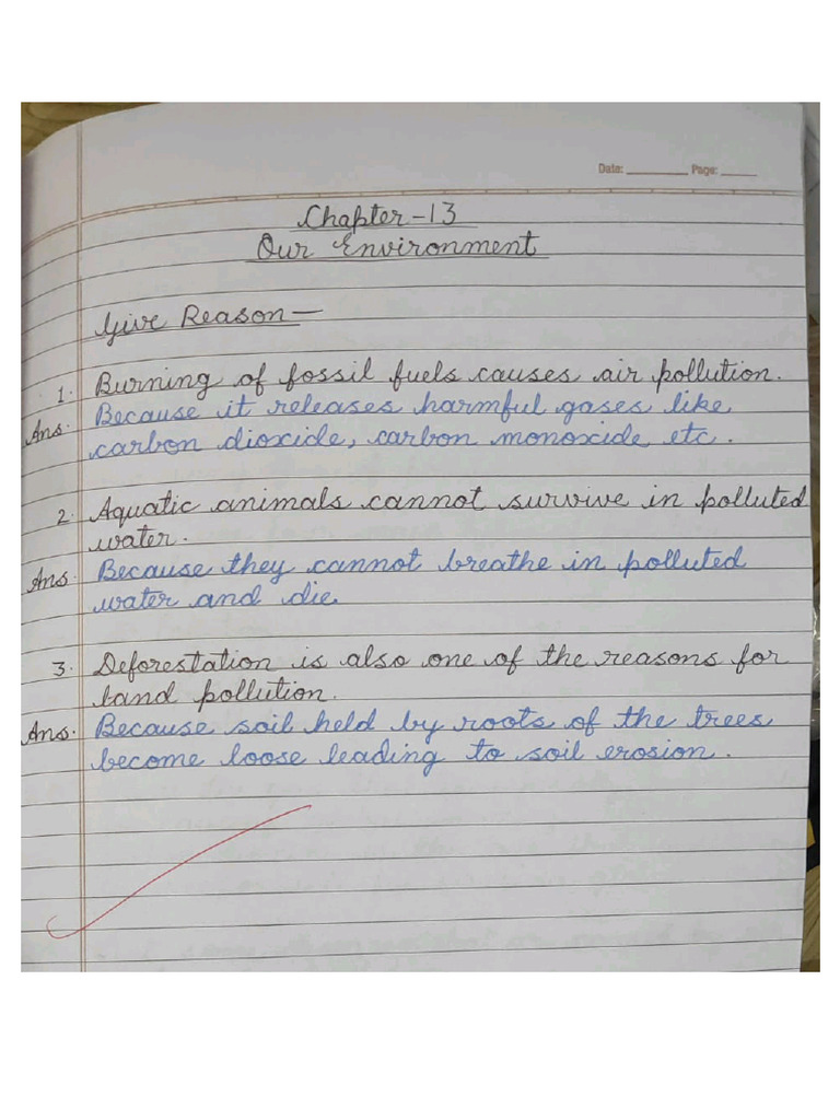 Science Chapter 13 Class V | PDF