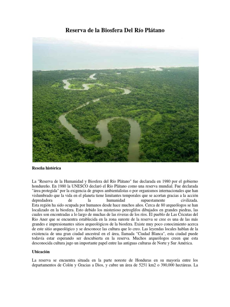 Reserva de La Biosfera Del Río Plátano | PDF | Los bosques | Arboles