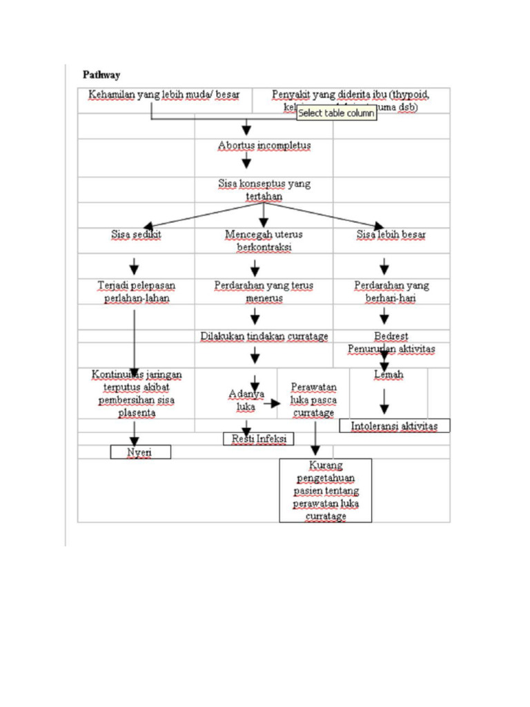 Woc Abortus Inkomplit | PDF