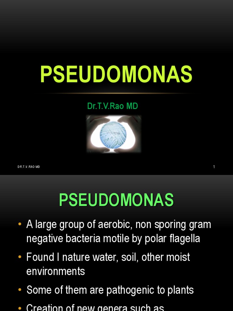 Pseudomonas Basics | PDF | Pseudomonas Aeruginosa | Pseudomonas