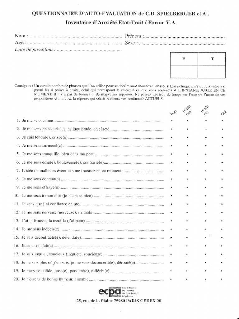 Questionnaire STAI Y AB | PDF