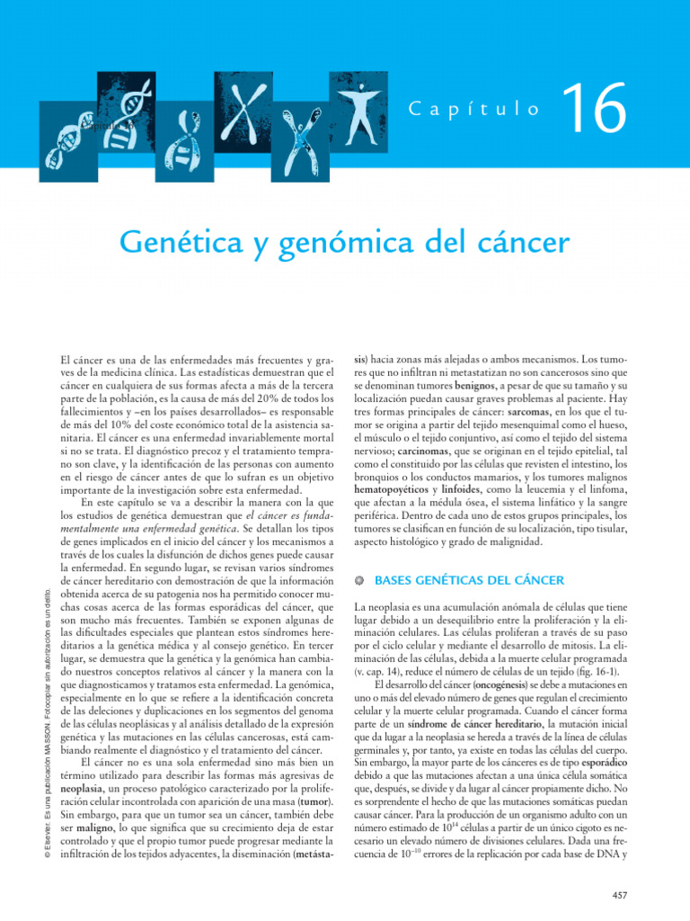 Genética y Genómica del Cáncer | PDF | Oncogen | Cáncer