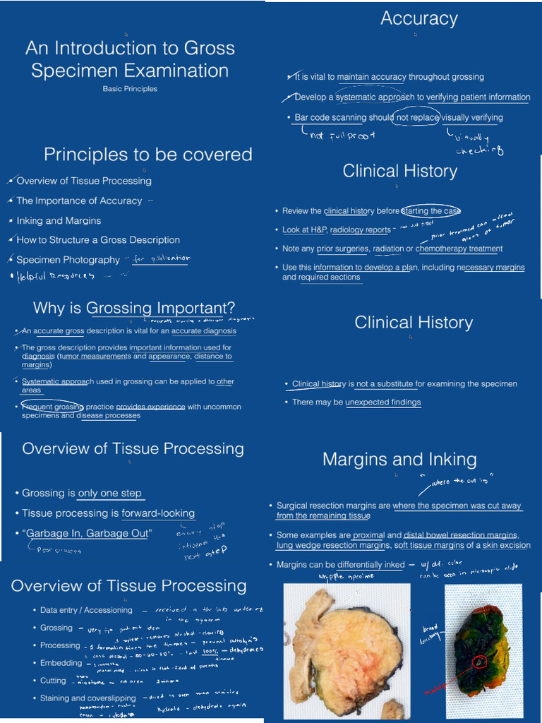 Gross Examination Pdf