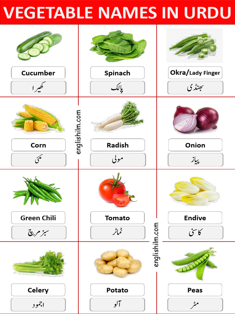Vegetables in Urdu With Images | PDF