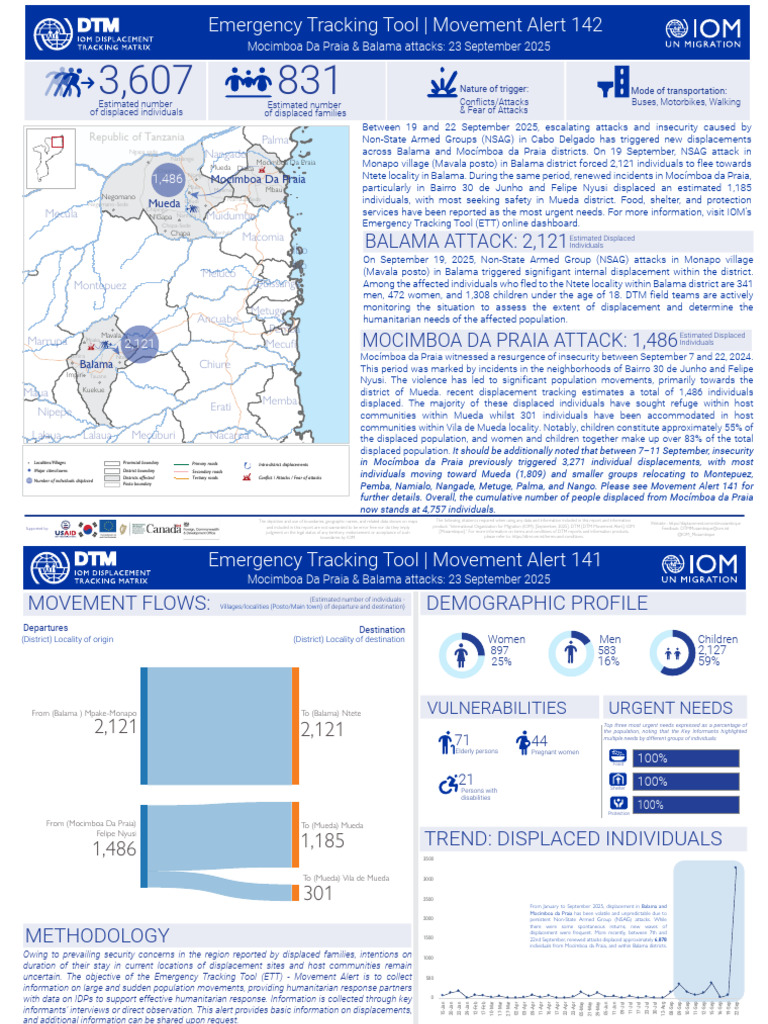 Mozambique - ETT Movement Alert Report - 142 - Final | PDF ...
