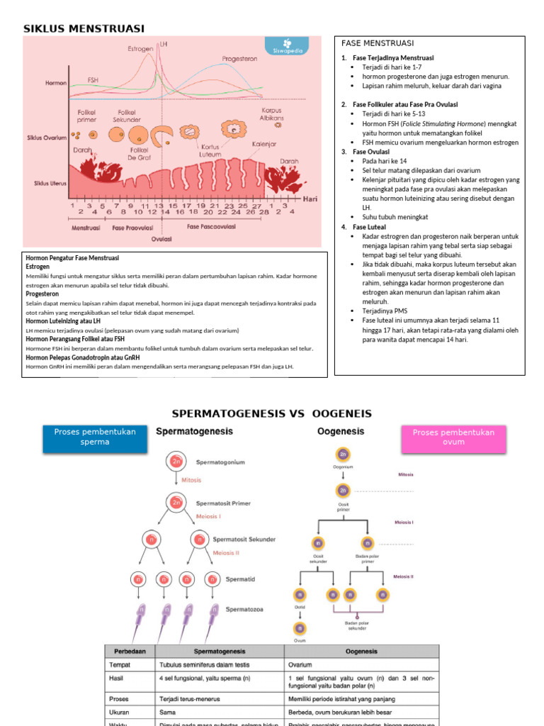 Fase dan Hormon Siklus Menstruasi | PDF