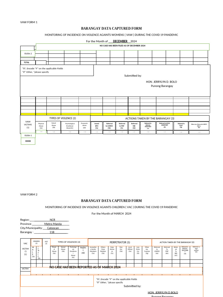 Vaw Vac Data Captured Form 2023 | PDF | Crimes | Crime & Violence