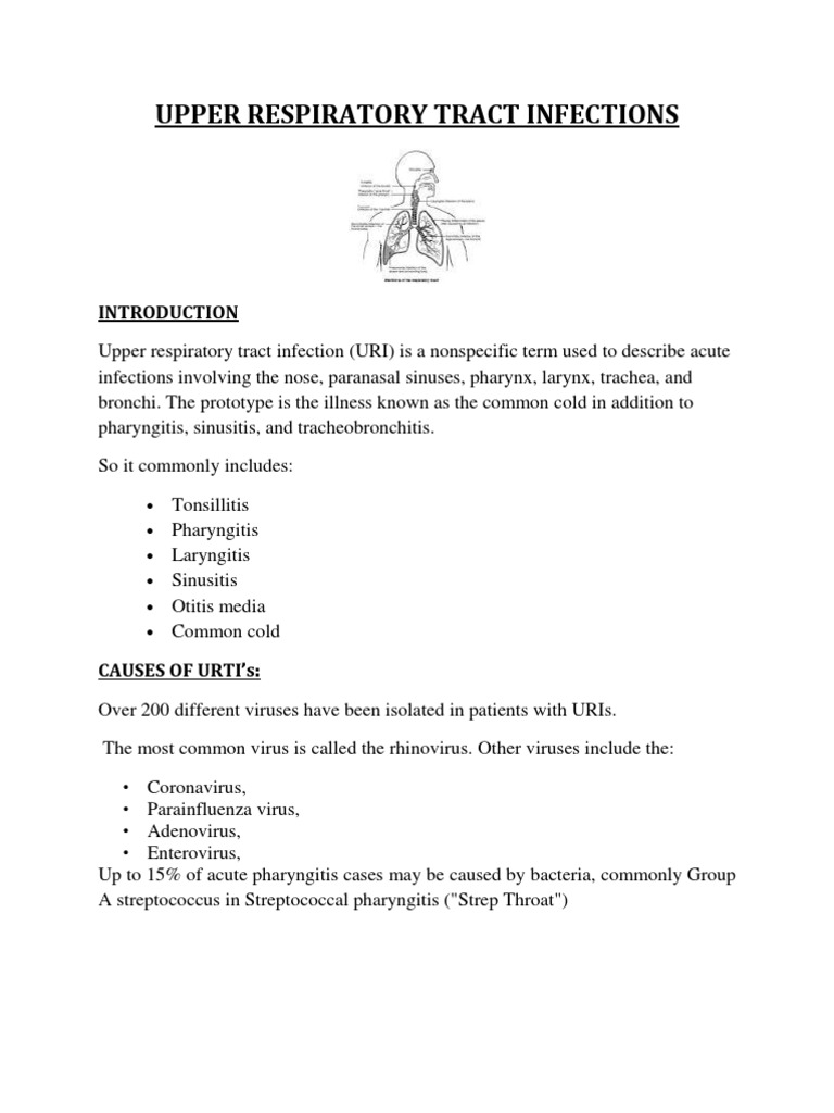 Upper Respiratory Tract Infections | Common Cold | Epidemiology