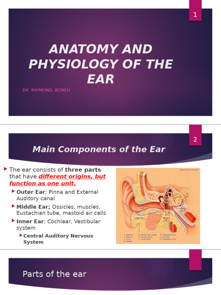 Anatomy and Physiology of the Ear | PDF | Ear | Auditory System