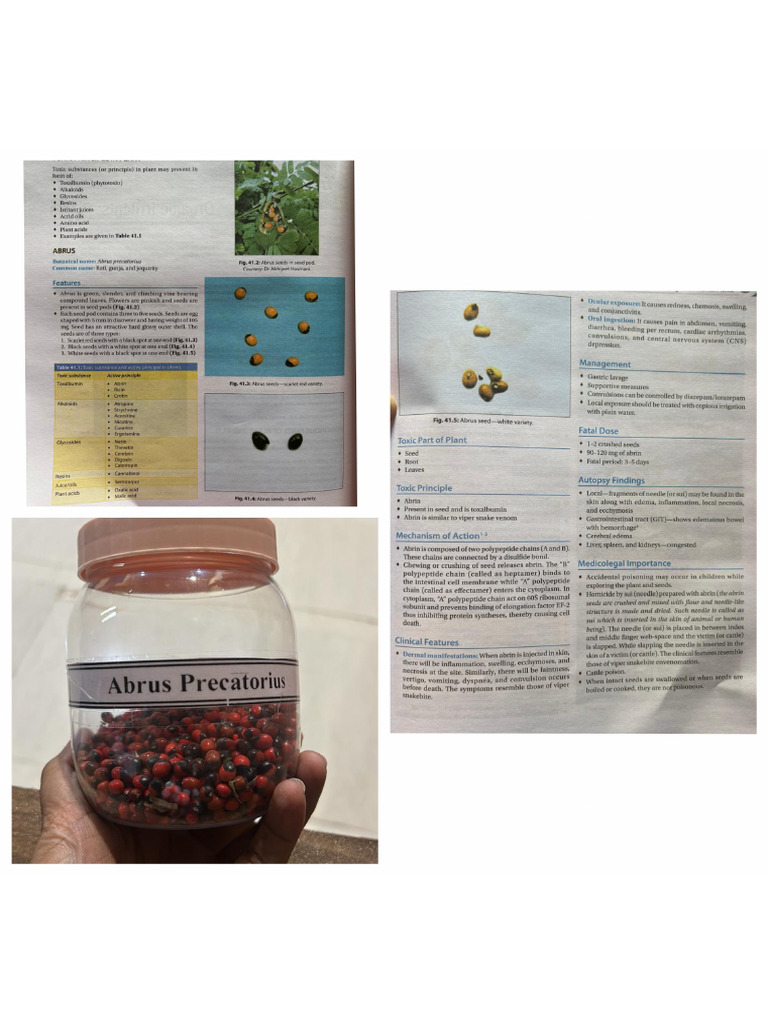 Forensic Poison MK | PDF