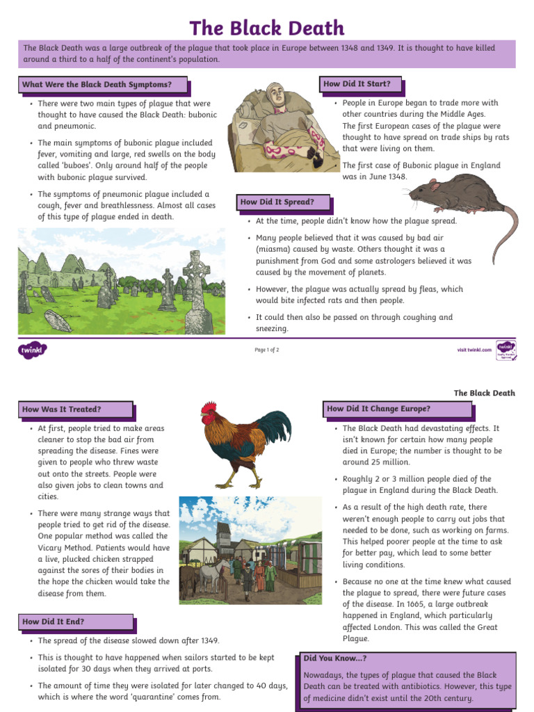 Black Death Overview and Impact | PDF | Black Death | Animal Diseases