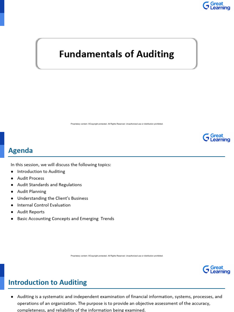 Overview of Auditing Fundamentals | PDF | Audit | Internal Control