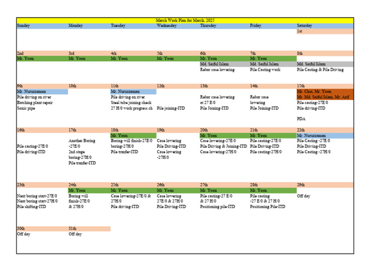 Calender - Work Plan of Consultant | PDF | Military Operations