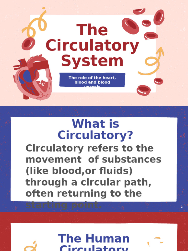 The Circulatory System Education Presentation in Peach Red Blue Hand ...
