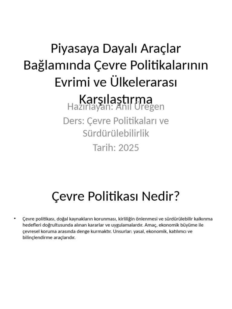 Piyasaya Dayali Araclar Karsilastirmali Sunum | PDF