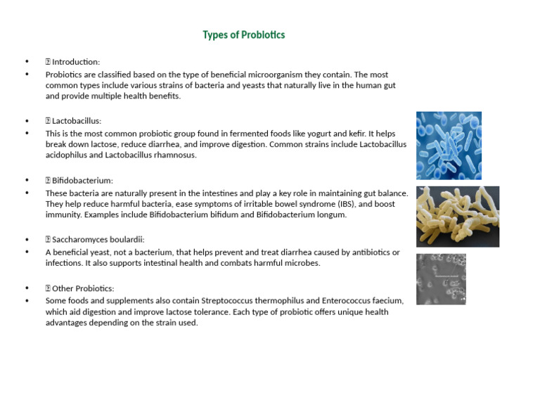 Types of Probiotics Slide | PDF