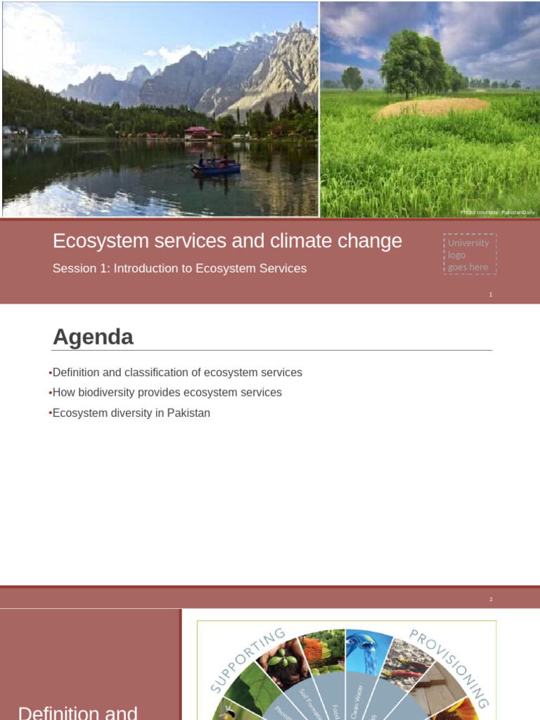 Ecosystem Services and Climate Change Overview | PDF | Ecosystem ...