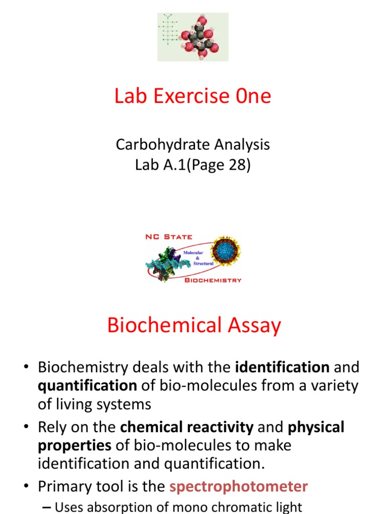 Lab Exercise 0ne: Carbohydrate Analysis Lab A.1 (Page 28) | PDF ...