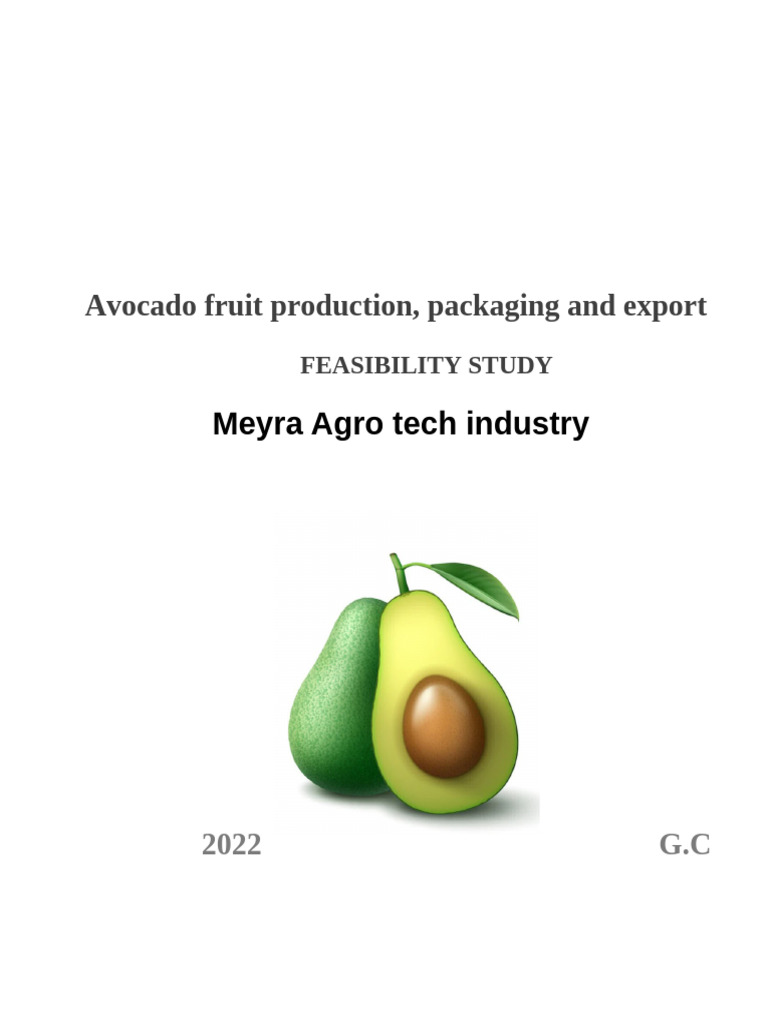 Avocado Production and Export Feasibility | PDF | Avocado