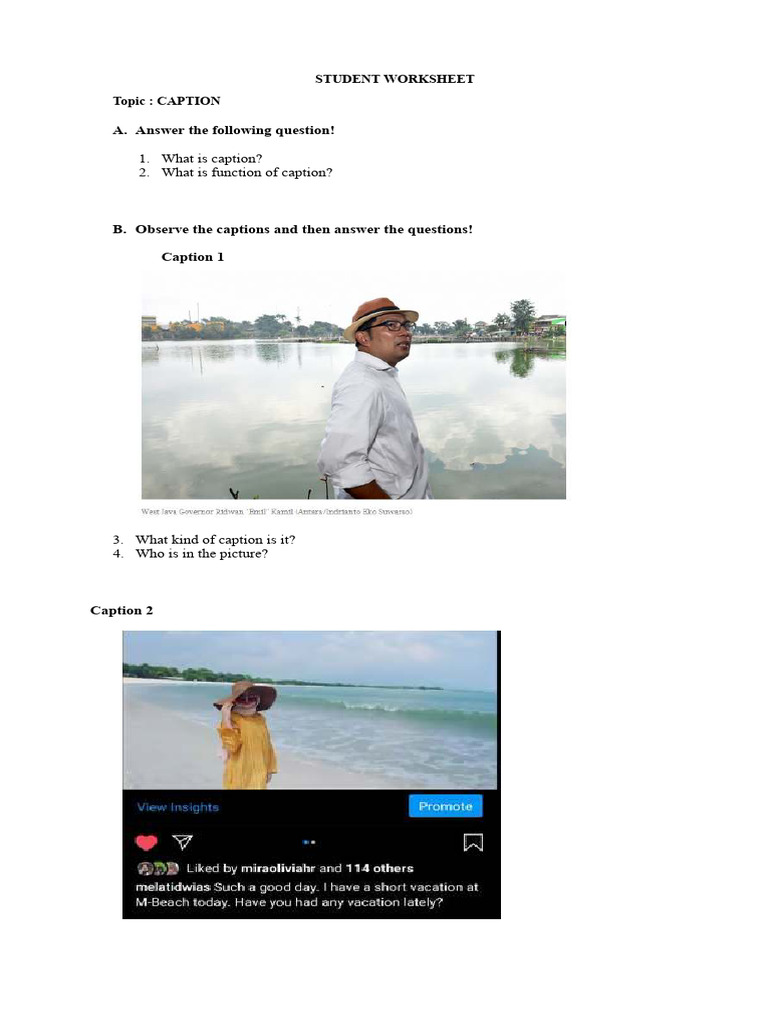 Understanding Captions: Student Worksheet | PDF