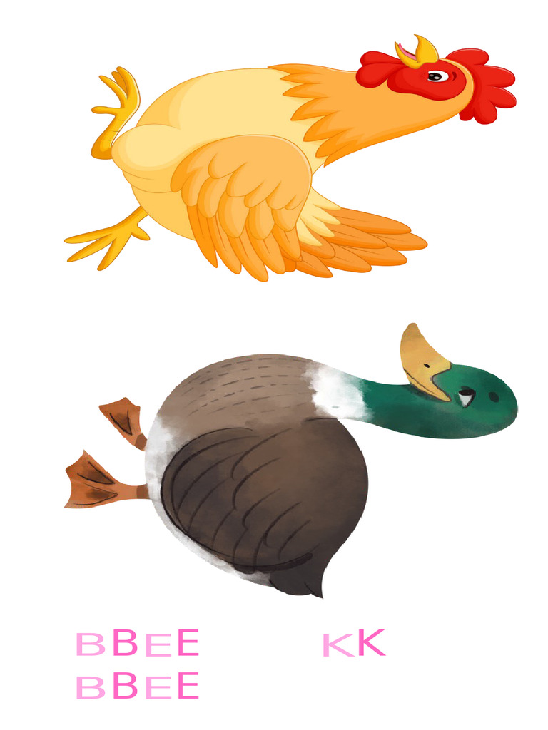 Ayam | PDF