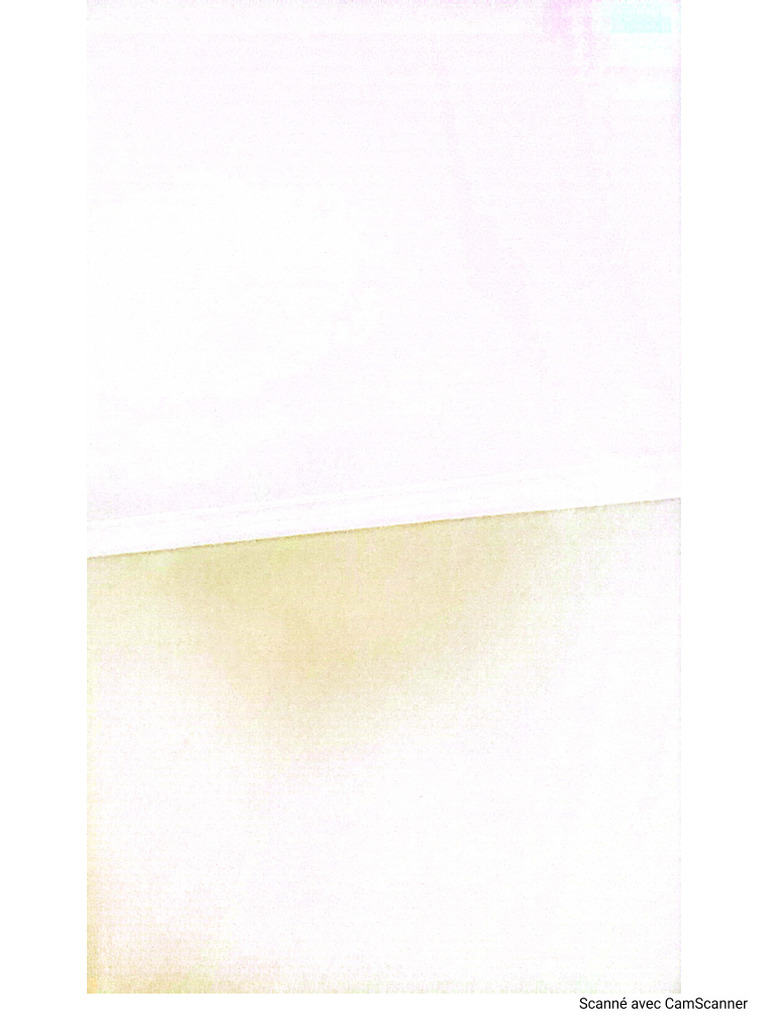 Pipina | PDF