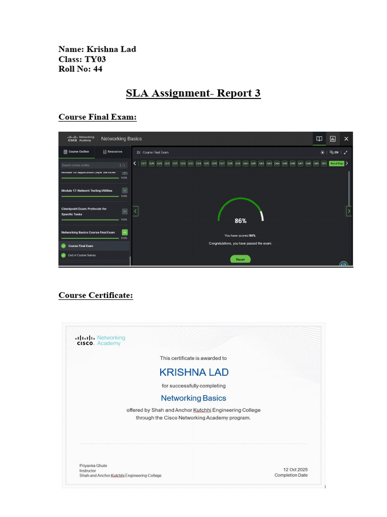 CN SLA Assignment 3 | PDF