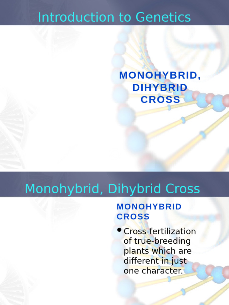 Lesson 5 - Mendels Monohybrid, Dihybrid Cross | PDF | Biology | Genetics