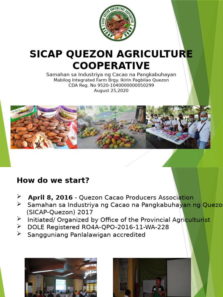 SICAP Presentation1 | PDF | Cocoa Bean | Chocolate