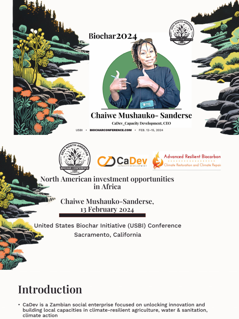 Biochar Investment Opportunities in Africa | PDF | Mining | Natural Environment
