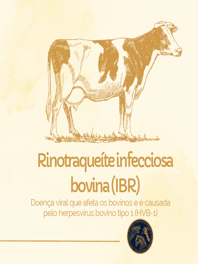 Rinotraqueíte infecciosa bovina (post liga) | PDF