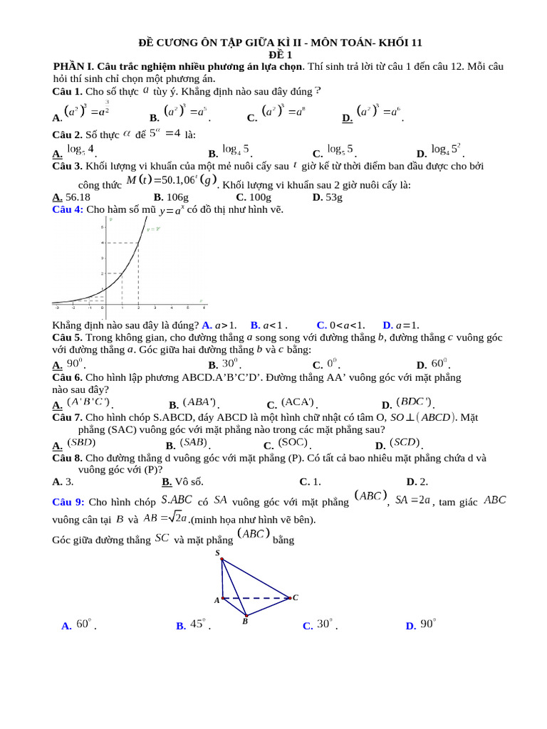 Đề cương ôn tập-gk2_K11-2024-2025 | PDF
