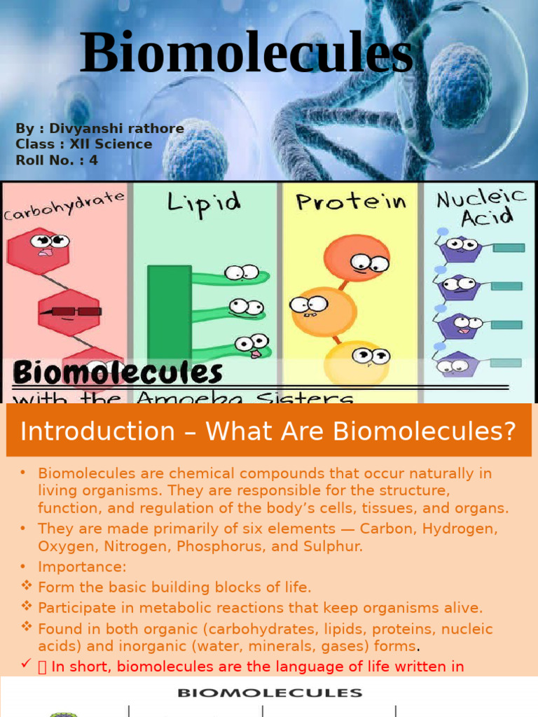 Understanding Biomolecules in Biology | PDF | Carbohydrates | Biomolecules