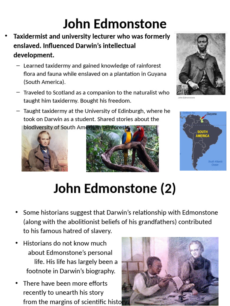 Darwin's Theory of Evolution | PDF | Natural Selection | Charles Darwin