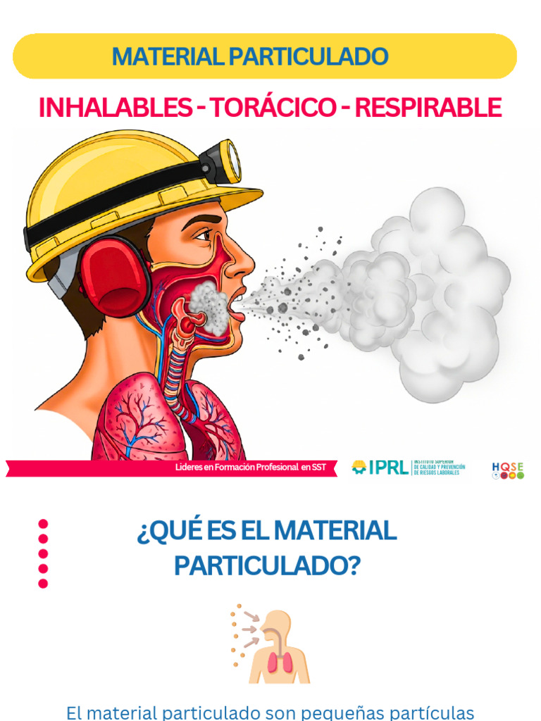 Inhalables Torácico Respirable | PDF | Partículas | Sistema respiratorio